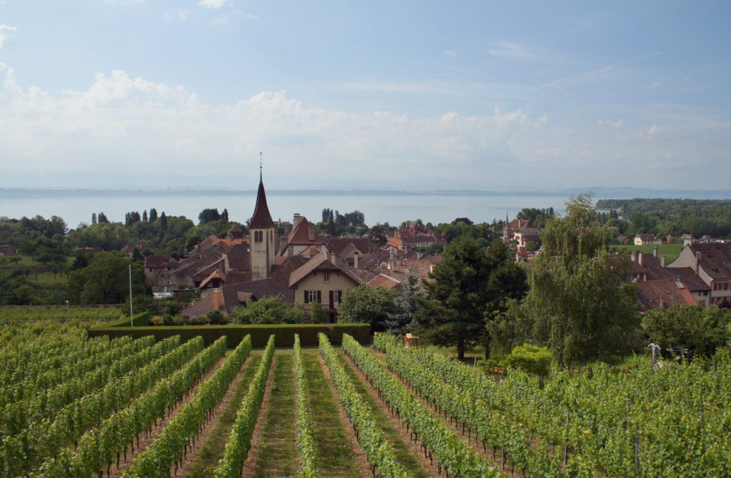 Cave et Distillerie de la Ruelle | Domaine Beyeler | Auvernier